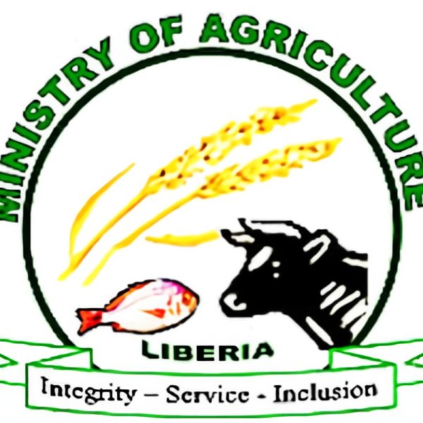 Farmers SupportCenter – VOSIEDA | Volunteers for Sustainable ...